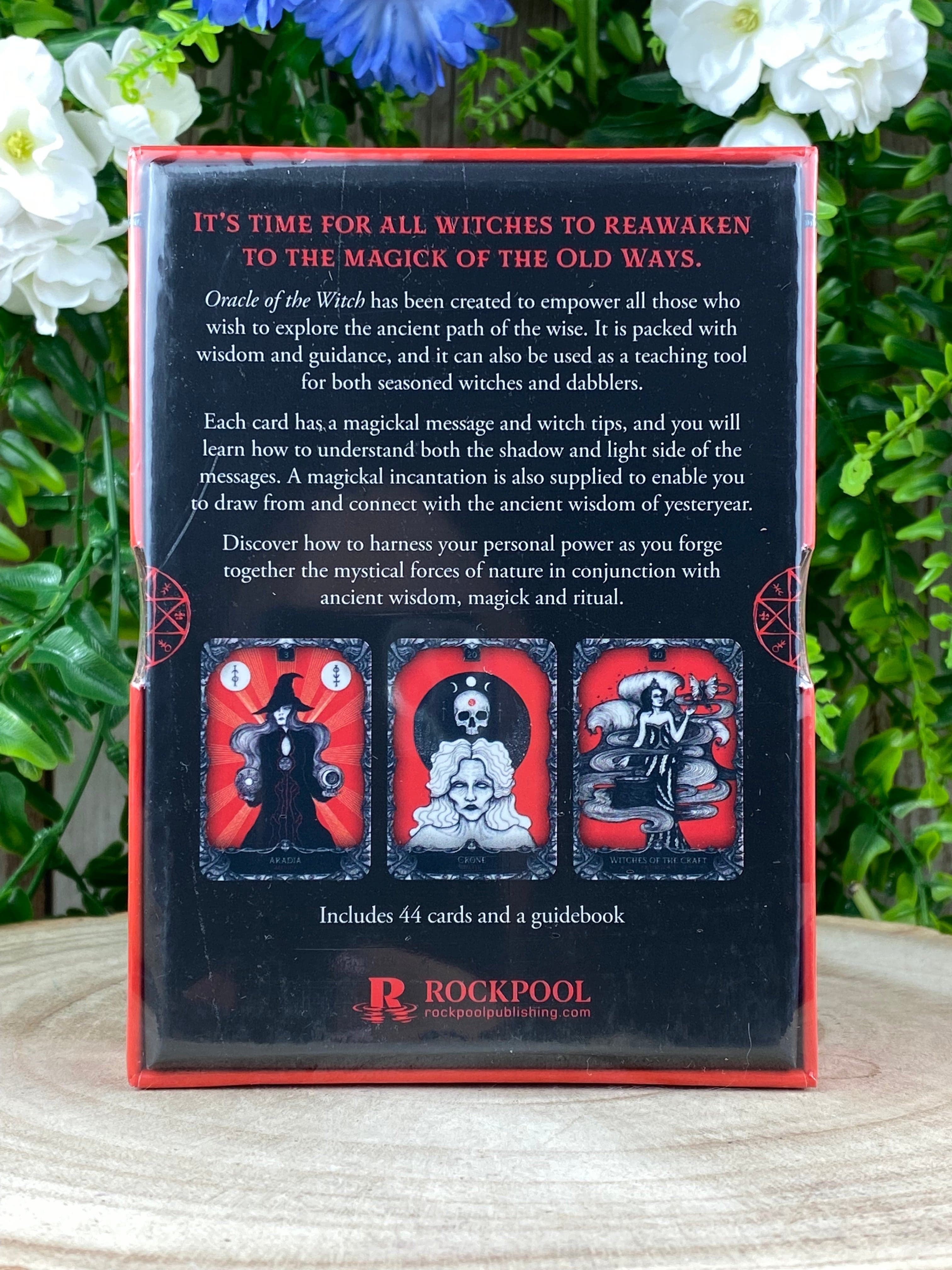 Oracle Of The Witch by Barbara Meiklejohn-Free & Flavia Kate Peters ...
